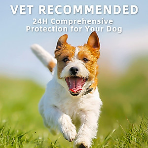 Advanllent Flea and Tick Prevention for Dogs, Flea and Tick Treatment for Extra Large Dog, Natural Essential Oil, Flea & Tick Control, 89-132 Pounds, 3 Doses