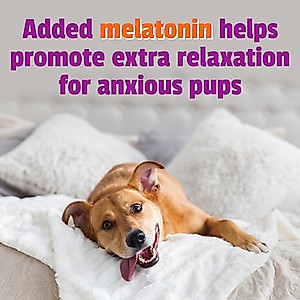 Pet Naturals BusyButter Extra Strength Calming Peanut Butter with Melatonin for Dogs - Great for Treats, Lick Mats, Training, Calming, and Enrichment Toys