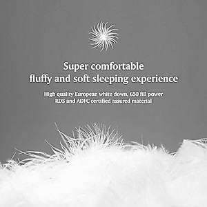 Beautyrest White Goose Down Comforter King Size - All Seasons Warmth Sateen Cotton European Down Duvet Insert 650 Fill Power Feather Down Comforter Insert Made in USA
