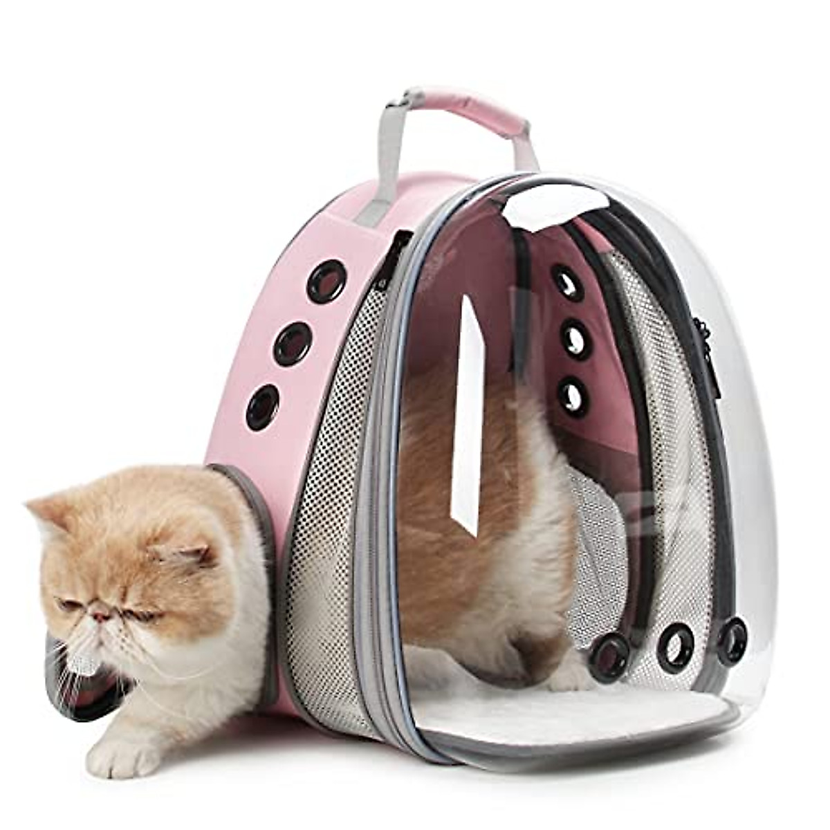 Lollimeow Pet Carrier Backpack, Bubble Backpack Carrier, Cats and Puppies,Airline-Approved, Designed for Travel, Hiking, Walking & Outdoor Use (Pink-Front Expandable)