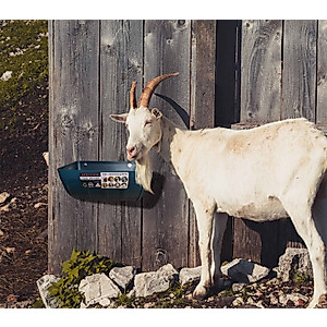 2 Pack Feed Trough and Waterer Bucket with Clips, for Goat Chicken Duck Sheeple Dog Piglets Deer Goose, Turkeys, Goat Feeder Supplies, 4.5 Quart (Appearance Patent Product)