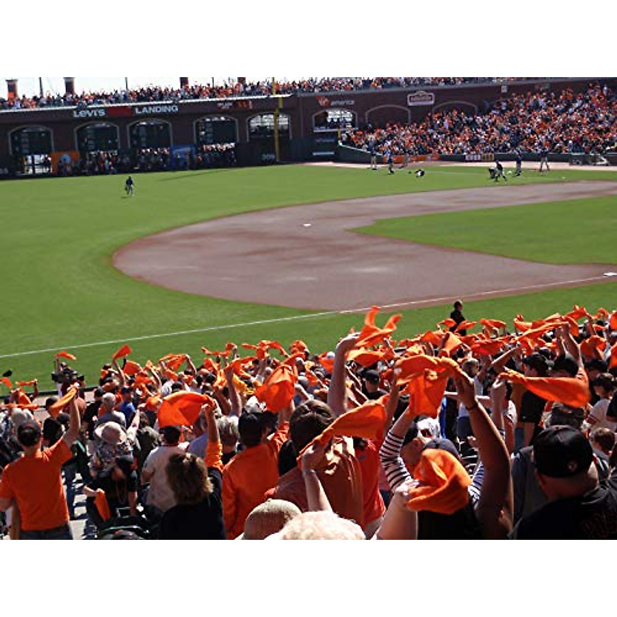 ToteBagFactory (10 Pack) Set of 10- Economical Fingertip Velour/Terry Towels (Bulk)