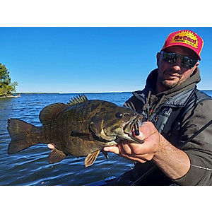 Northland Fishing Tackle Elite Series Nedster Jig for Smallmouth, Largemouth, & Spotted Bass Jig, Rusty Craw, 1/4 Oz 1/0 Hook, 3/Card