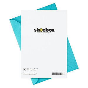 Hallmark Shoebox Funny Wedding Congratulations Card (Wedding Vows)