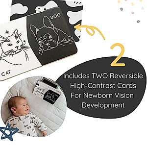 Curious Baby™ Award Winning 40+ Activities for Baby & Me (0-12 Months) | Developmentally-Focused and Stimulating Creative Playtime Ideas for Baby & Me | Includes Black/White High-Contrast Cards