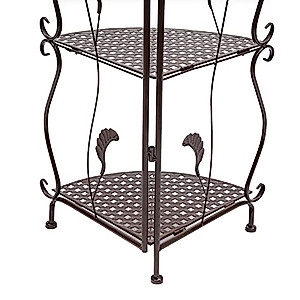 WANLECY 4 Layers Corner Shelf Stand, Metal Corner Bathroom Shelf Freestanding Toilet Bedroom Multi-Storey Shelf, Multipurpose Space Saving Storage Rack for Living Room, Kitchen, Bathroom