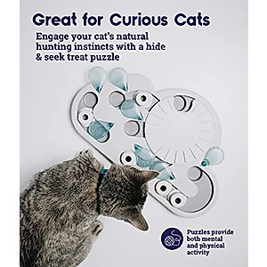 Catstages Nina Ottosson Rainy Day Puzzle & Play - Interactive Cat Treat Puzzle