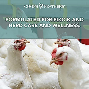 Healthy Hen Egg-Stra Eggs - Organic Chicken Water Additive with Aloe Vera, Calendula Oil, Thyme Oil, and More - 16 oz - Supports Egg Production and Immunity - All Natural - Made in the USA (1 pack)