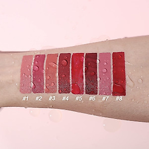 UCANBE 8 Pcs Lightly Glossy Lipstick Set - Waterproof Lip Stain - Liquid Lip Color - Long Lasting Lip Gloss - Smuge proof Korean Makeup - Lip Stick Christmas Gifts for Women