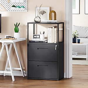 Letaya 2 Drawer Lateral File Cabinets with Lock,Metal Printer Stand Filing Organization Cabinets for Home Office,Hanging Files Letter/Legal/F4/A4 Size (Black)