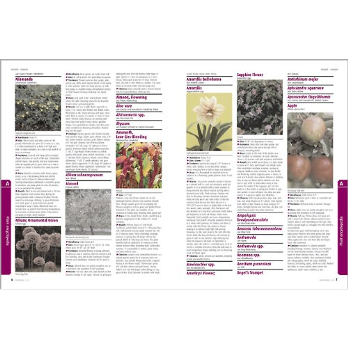 Gardening 1-2-3 (HOME DEPOT 1-2-3)