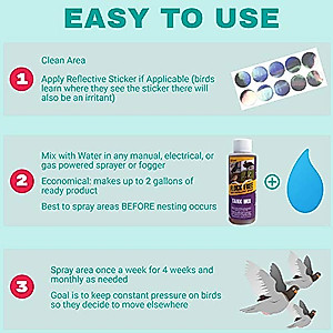 Flock Free Bird Repellent Spray, Residential Bird Problem Solution Bird Control, 4 oz Concentrate (1)