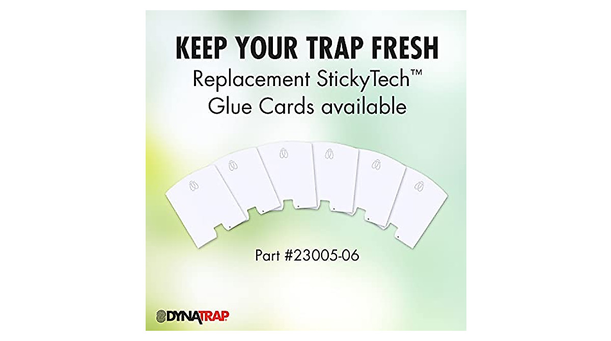 DynaTrap DT3005W-DS3: Discreet Insect Trap 3-Pack