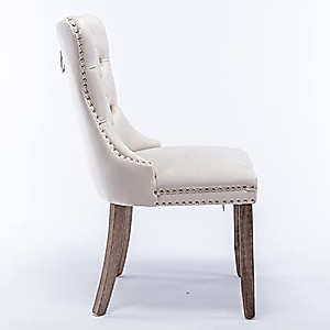 CIATRE Dining Chairs Set of 2 - High-end Tufted Solid Wood Contemporary Velvet Upholstered Dining Chair with Wood Legs, Nailhead Trim (Beige)