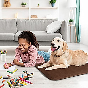 ZXU Pet Heating Pad, Electric Cat Heat Pad with 8 Heat Setting,1-12 Hour Auto Shut Off Timer,Stay On Function,Adjustable Heated Cat Bed with Removable Cover,Dog Heating Pad,Indoor (18" x 22")