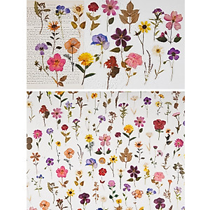 Knaid Pressed Flower Themed Stickers Set (320 Pieces) Dried Flowers Resin Stickers Decals Floral Botanical Journaling Stickers for Scrapbook Supplies Junk Journal Bullet Journal Planner Laptops