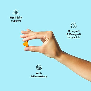 Wild Earth Dog Supplements, Soft Chews for Hip & Joint Support, with Omega 3 Fatty Acids & Anti-inflammatory Turmeric, Veterinarian-Developed, Vegan