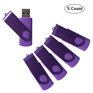 ERKE 2GB USB 2.0 Flash Drive 5 Pack Portable Thumb Drives Swivel Jump Drive Zip Drive Memory Sticks with Type-C/Micro USB Adapter for PC/Laptop(Purple 2GB)