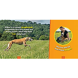 Doggy Defenders: Willow the Therapy Dog