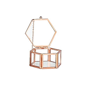 Feyarl Jewelry Trinket Glass Box Ornate Ring Earring Box Preserved Flower Glass Box Organizer Decorative Box Storage (Rose Gold)