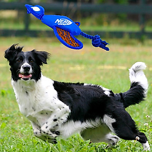 Nerf Dog Large Nylon Launching Duck, Blue/Orange
