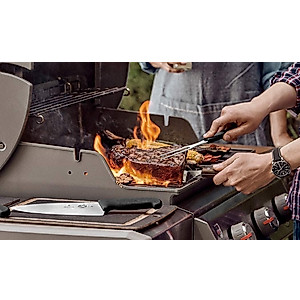 Victorinox 10-Inch Fibrox Pro Chef's Knife, Black