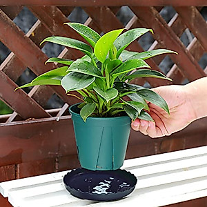ECOESPTI 12Pcs Plant Saucer, 6 8 10 Inch Durable Plastic Plant Tray, Black Round Plant Pot Saucers, Drip Tray for Indoor and Outdoor Garden