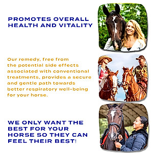Healthy Animals 4Ever All-Natural Horse Dental Health Support - Maintains Strong, Healthy Teeth & Bones - Dental Supplements for Horses - Homeopathic & Highly Effective - 300 Tablets