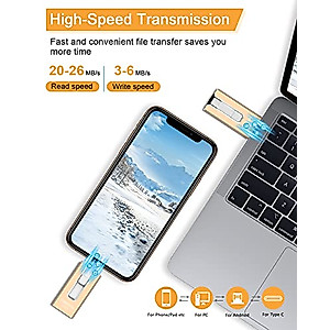 Sunany USB Flash Drive 256 GB for Phone and Pad, High Speed External Thumb Drives USB Memory Storage Photo Stick for Save More Photos and Videos (Gold)