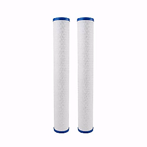 Everpure CG5-20S 20" Water Filtration Cartridge, 2-Pack
