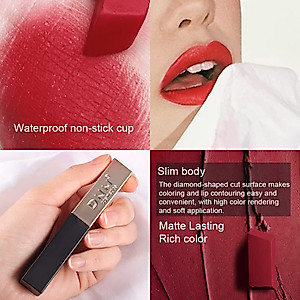 evpct DNM 6Pcs Dark Ruby Red Mauve Plum Purple Nude Beige Matte 24 Hour Lipstick Set for Women Waterproof Long Lasting 24 Hours Lipstick