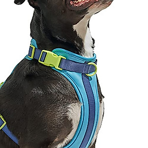 Wild One, Limited Edition, Designer Collection, Dog Harness, No-Pull Pet Harness with 3 Leash Clips, Adjustable Soft Padded Dog Vest, Comfortable, Stretchy, Medium, Blue