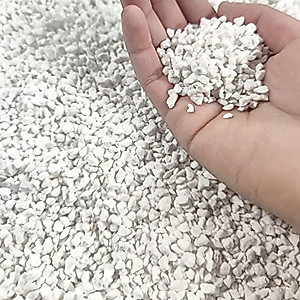 10 QT Professional Grade Horticultural Organic Perlite (10 QT, Perlite)