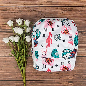 babygoal Baby Reusable Swim Diaper, Washable and Adjustable for Babies 0-2 Years, Swimming Lessons & Baby Gift 3SD05