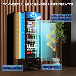 Mojgar 14.8 Cu Ft Commercial Merchandiser Refrigerator for Beverage,Glass Door Upright Display Fridge with Front LED Light,Large Freestanding Business Cooler for Shop,Restaurant,Apartment,etc