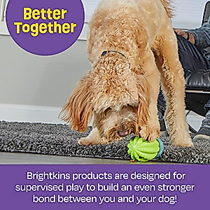 Brightkins Cactus Surprise Treat Dispenser - Treat Dog Toys, Treat Dispenser for Dogs, Dog Birthday Toy for All Breeds Medium