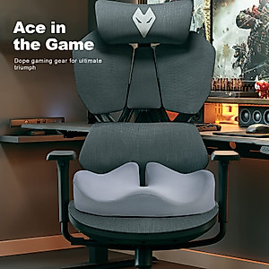 Foamula Seat Cushion for Office Chairs, Memory Foam Sciatica Pain Relief Pillow, Seat Cushion for Hip, Tailbone, Coccyx Pain, Desk Chair Cushion for Office, Home Chair, Gaming Chair, Car, Wheelchair