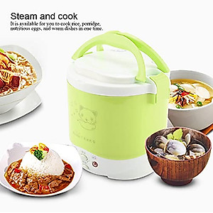 Fdit Rice Cooker, 12V 100W 1L Electric Portable Multifunctional Rice Cooker Suitable for Car Food Steamer (Green)