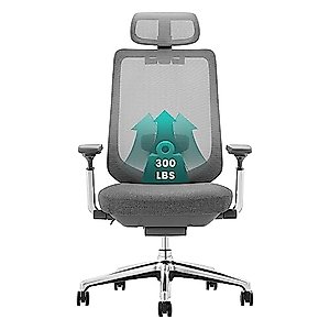 Ergonomic Mesh Office Chair, High Back Computer Executive Desk Chair with Adjustable Headrest and 4D Arms, Slide Seat, Tilt Lock-Dark Grey