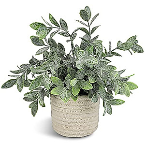 Hopewood Faux Plants, Small Fake Plant for Bathroom, Decorative Artificial Plants for Farmhouse Desk Shelf Decor with A Weave Basket (9.8inch)