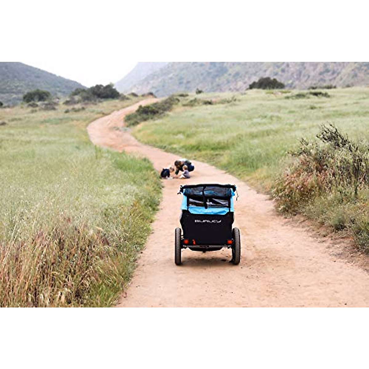 Burley D'Lite X, 2 Seat Kids Bike Trailer & Stroller