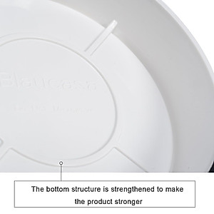 Blaucasa Cat/Dog Bowl Stand Set of 2, Elevated Cat Bowl Stand, Raised Stand for Food and Water Cat Bowls, Non Slip Pet Feeding Station,Prevent Neck & Whisker Fatigue(White, 5.7" L x 2.3" H)