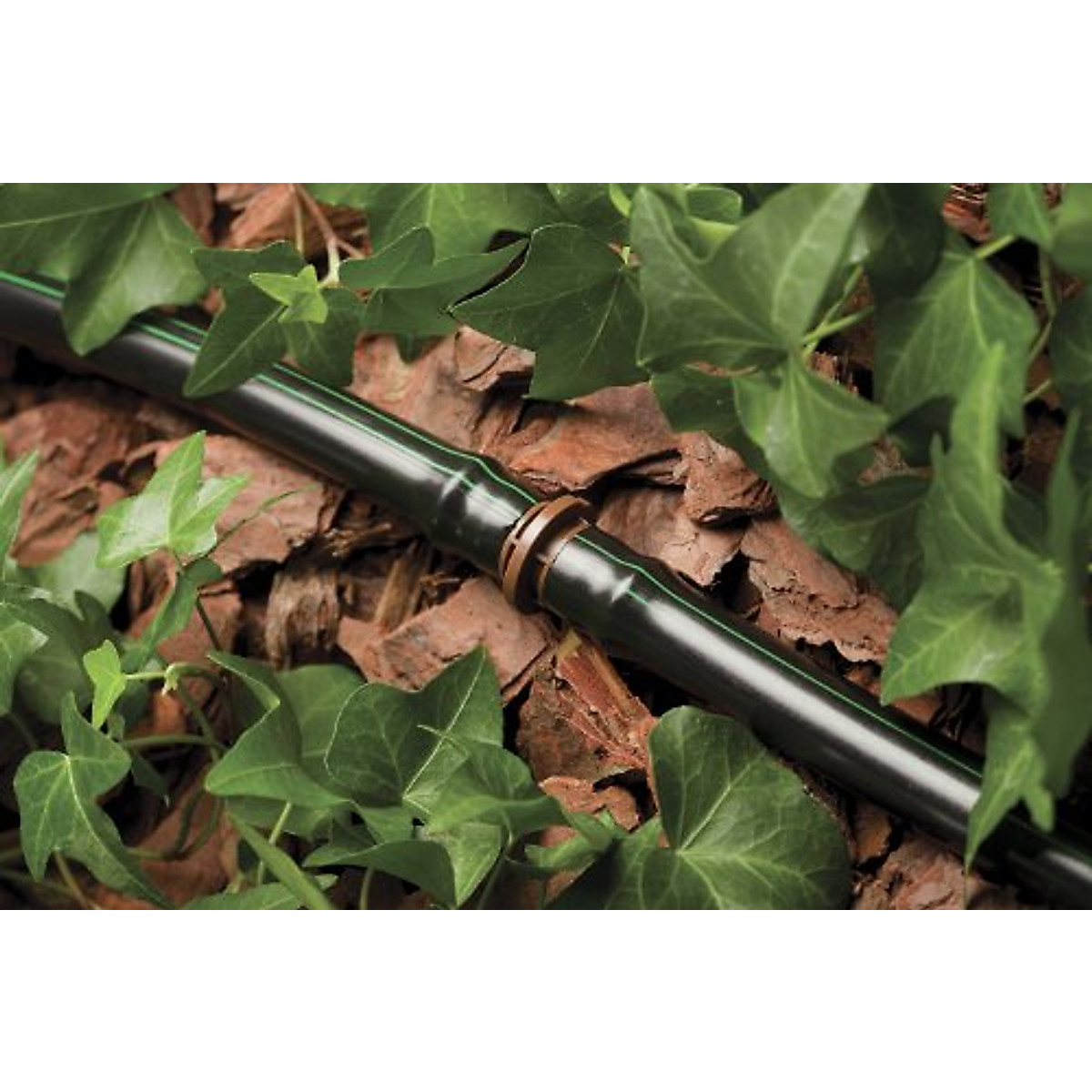 Rain Bird T63-100 Drip Irrigation 1/2" (0.634" OD) Blank Distribution Tubing, 100' Roll, Black