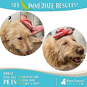 Raw Paws Pet Hand-Held Rubber Tipped Pin Brush for Dogs & Cats - Grooming Brush for Dogs Shedding - Dog Brushes for Grooming Large Dogs & Small Dogs - Bath Brush for Dogs with Short Hair & Long Hair