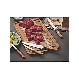 Tramontina Kitchen Knife Set (4 Pcs.)