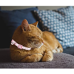 YUDOTE Breakaway Cat Collar with Bell, 2 Pack of Adjustable Floral Cat Collars Cute Safety Purple Pink Kitty Strawberry Collar