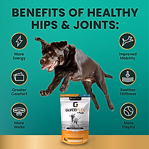 VetriScience GlycoFlex Plus Hip and Joint Supplement for Dogs – Extra-Strength Joint Support Chews with Green Lipped Mussel, Chondroitin, and Glucosamine for Dogs