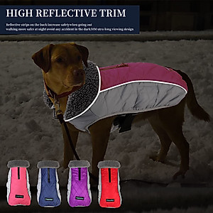 Fragralley Dog Winter Coat - Warm Dog Jacket Soft Fleece Lined for Cold Weather, Waterproof Windproof Puppy Coat, Reflective Adjustable Pet Vest Apparel for Small Medium Large Dogs (Large, Pink)