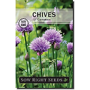 Sow Right Seeds - Chive Seed Collection for Planting - Grow Both Common Chives and Garlic Chives for Your Kitchen - Non-GMO Heirloom Seeds with Instructions to Plant, Indoor or Outdoor; Great Garden