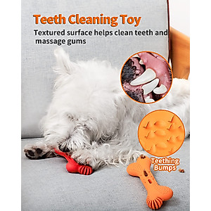 SCHITEC Puppy Chew Toys, [2 Pack] Interactive Treat Dispensing Puzzle Toy for Small Dogs, Tough Rubber Teething Dog Bones for Puppies